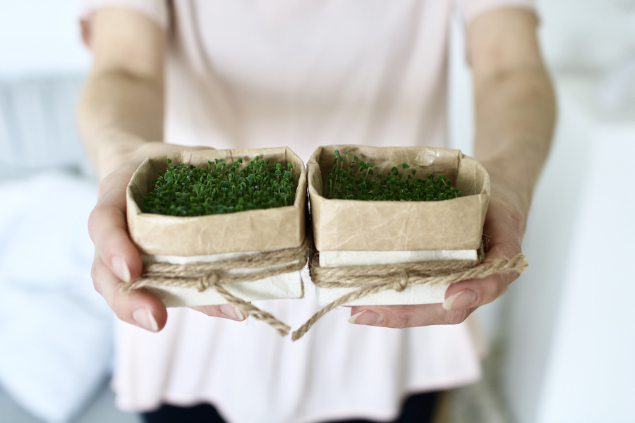 Blomster Arkiv - Hobbyskuffen